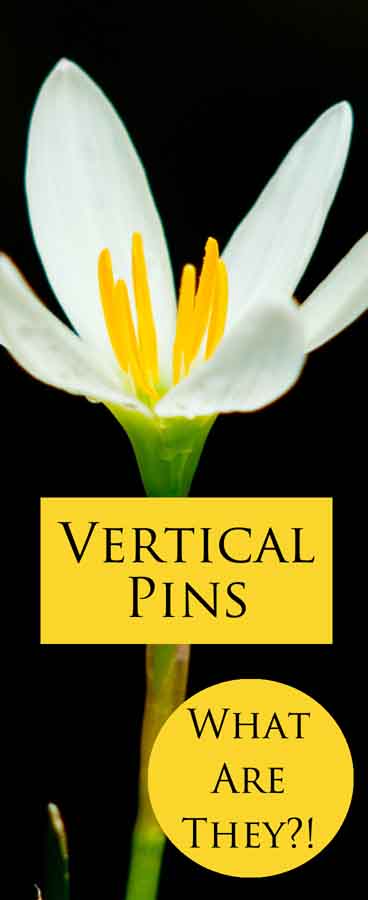 What Exactly Is A Vertical Pin?! * Shannon's Grotto