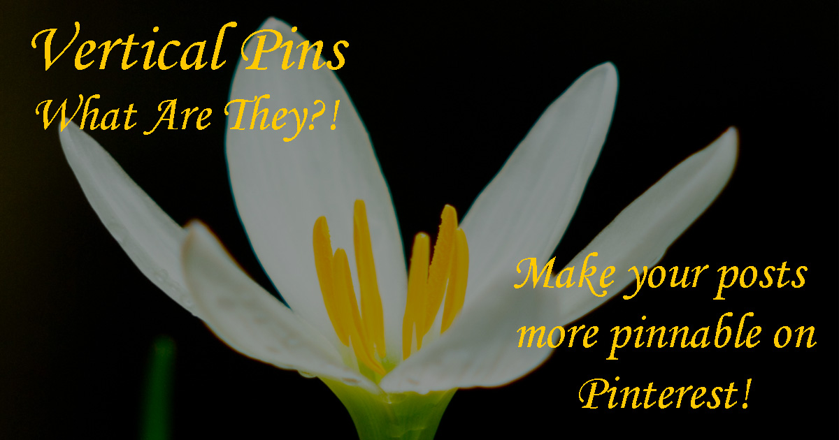 What Exactly Is A Vertical Pin?! * Shannon's Grotto