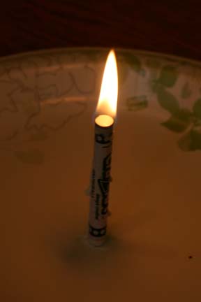 Can Crayons Be Used For A Candle? Science Experiment * Shannon's Grotto