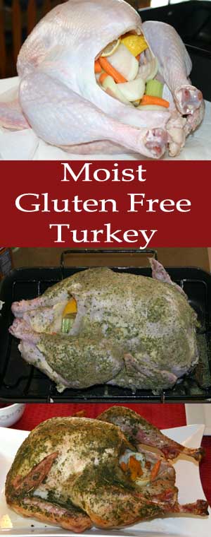Moist Gluten Free Turkey- For the Holidays * Shannon's Grotto