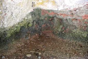 Grotto Trail Easy Hike- Payson, Utah * Shannon's Grotto