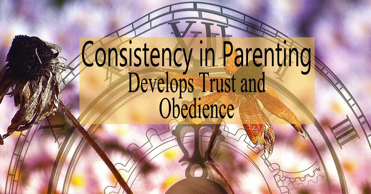 Parenting With Consistency Develops Trust and Obedience * Shannon's Grotto